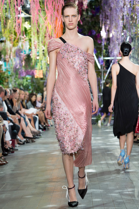 Christian Dior Ready-To-Wear Spring 2014